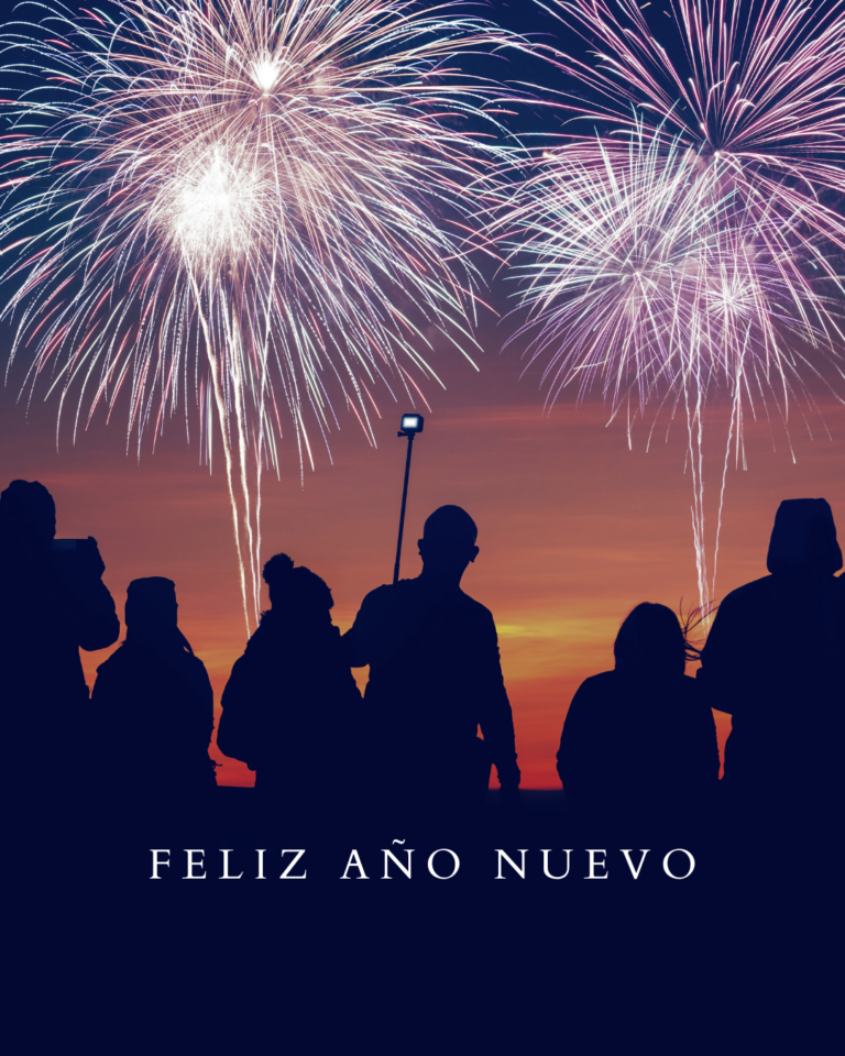 Feliz Año Nuevo Imágenes(10+imagen)