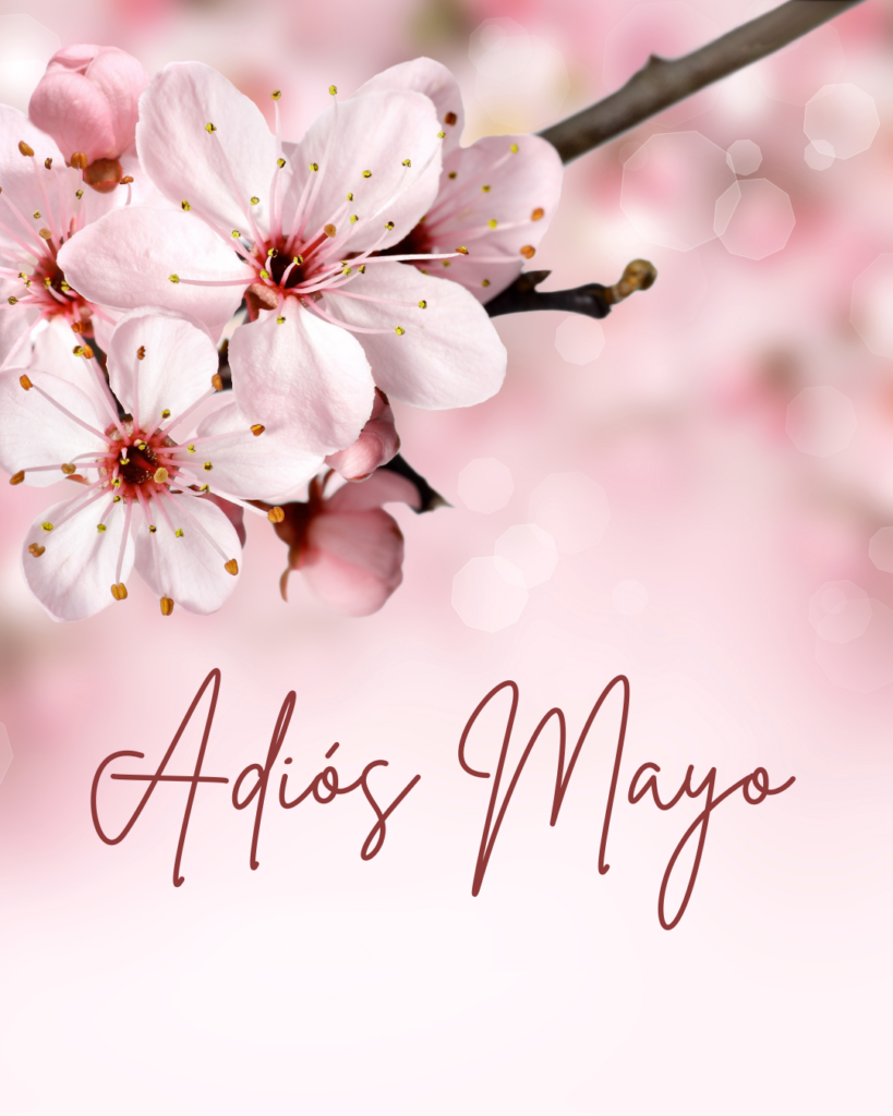 Adiós mayo[5+Imagenes]